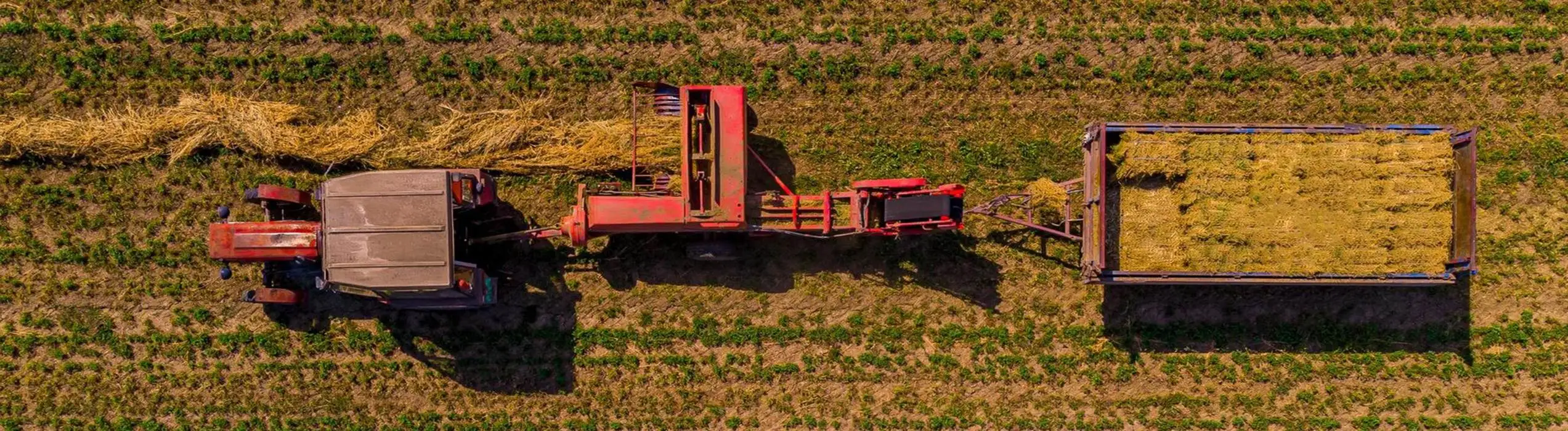 Wheeled Tractor, 4 Wheel Drive Tractor For Sale Manufacturer | Longhua ...